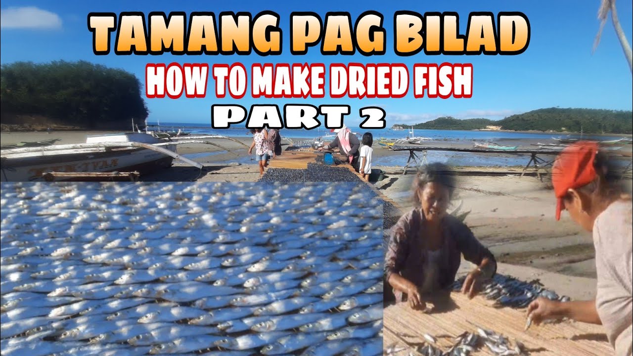TAMANG PAG BILAD NG TAMBAN | HOW TO MAKE DRIED FISH | PART 2 - YouTube
