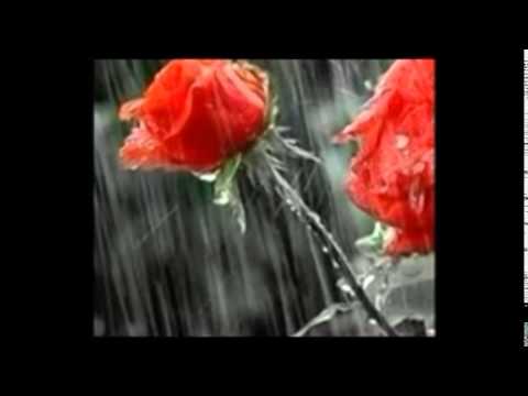 Ceyhun Sevdali-Ne Varki