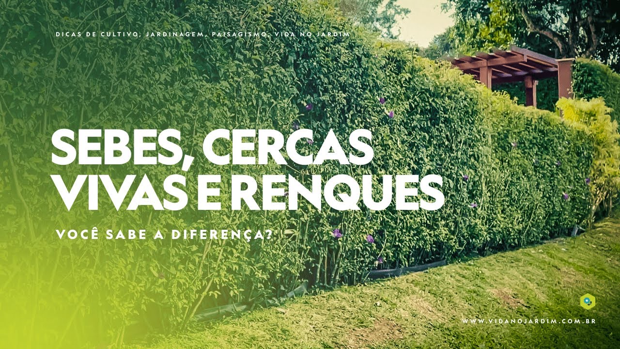 Você sabe a DIFERENÇA de SEBES, CERCAS VIVAS e RENQUES? - YouTube