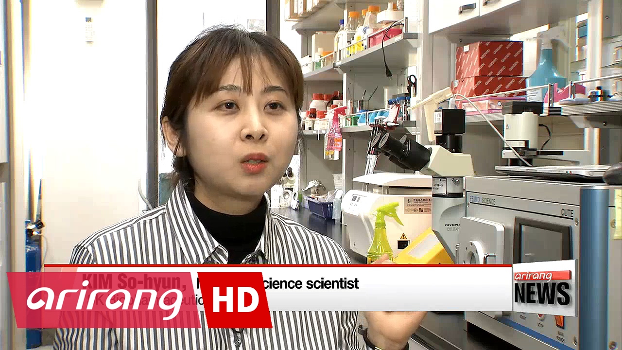 Researchers develop MRI software, cell reconstruction to study human ...