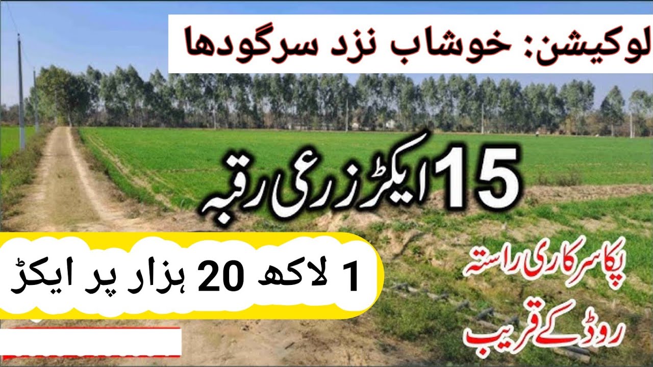 Agriculture land for sale in Punjab || 15 Acre Land for sale in ...
