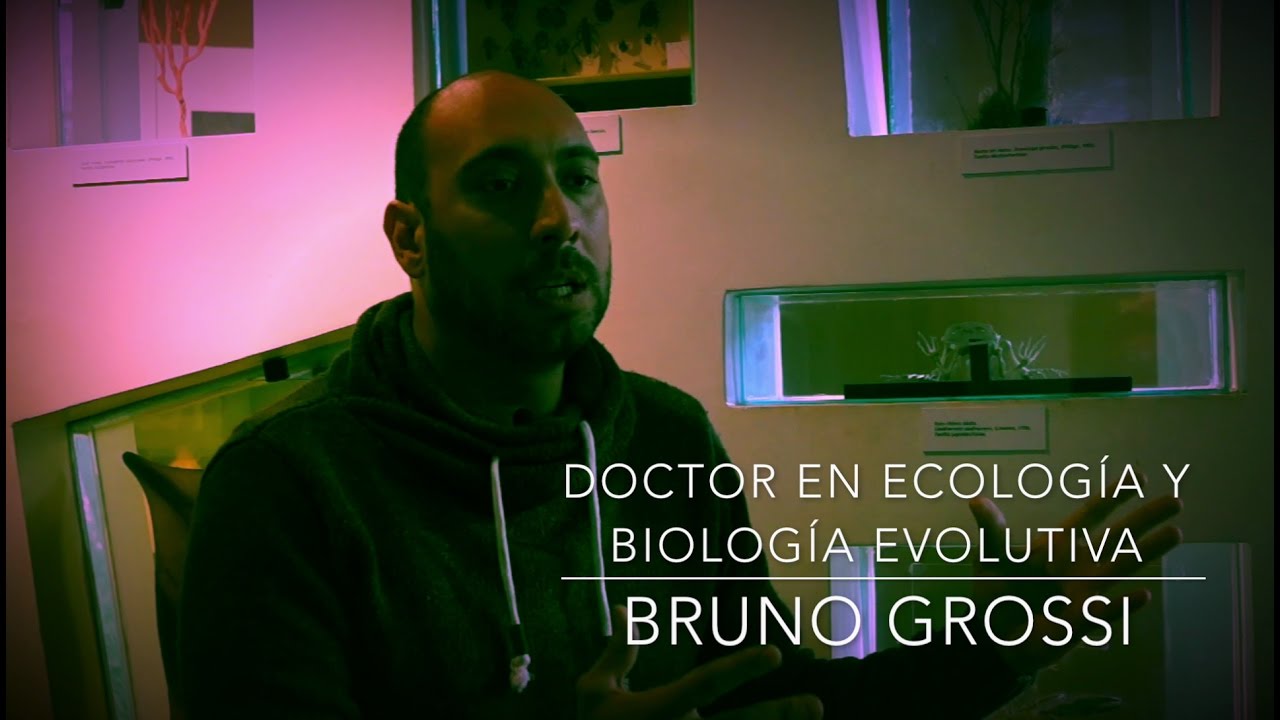 Entrevista al Dr. Bruno Grossi - YouTube