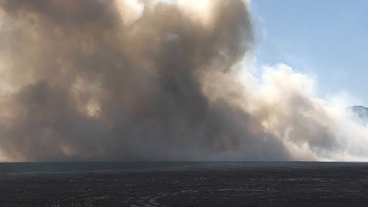 Vegetation fire near homes in Elk Grove - YouTube