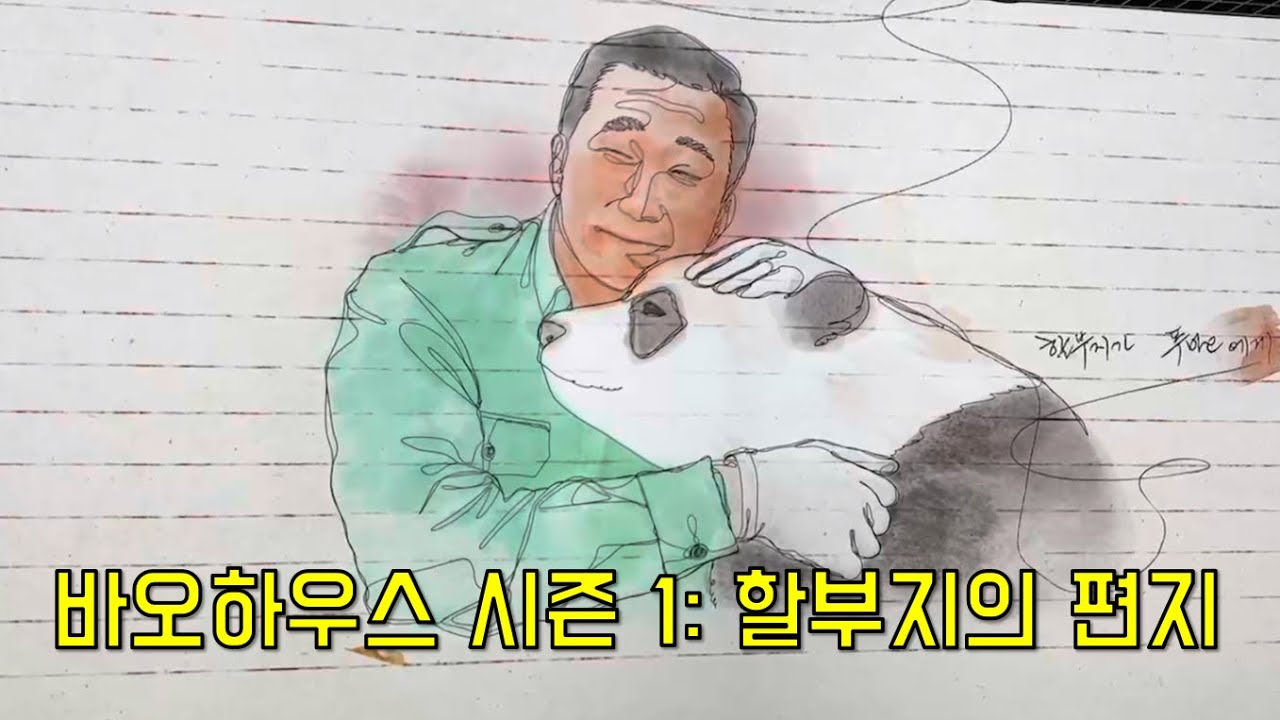 뚠빵이에게 보내는 할부지의 편지 바오하우스 시즌 1 바오하우스 푸바오 판다월드 강바오 강철원 사육사 Youtube