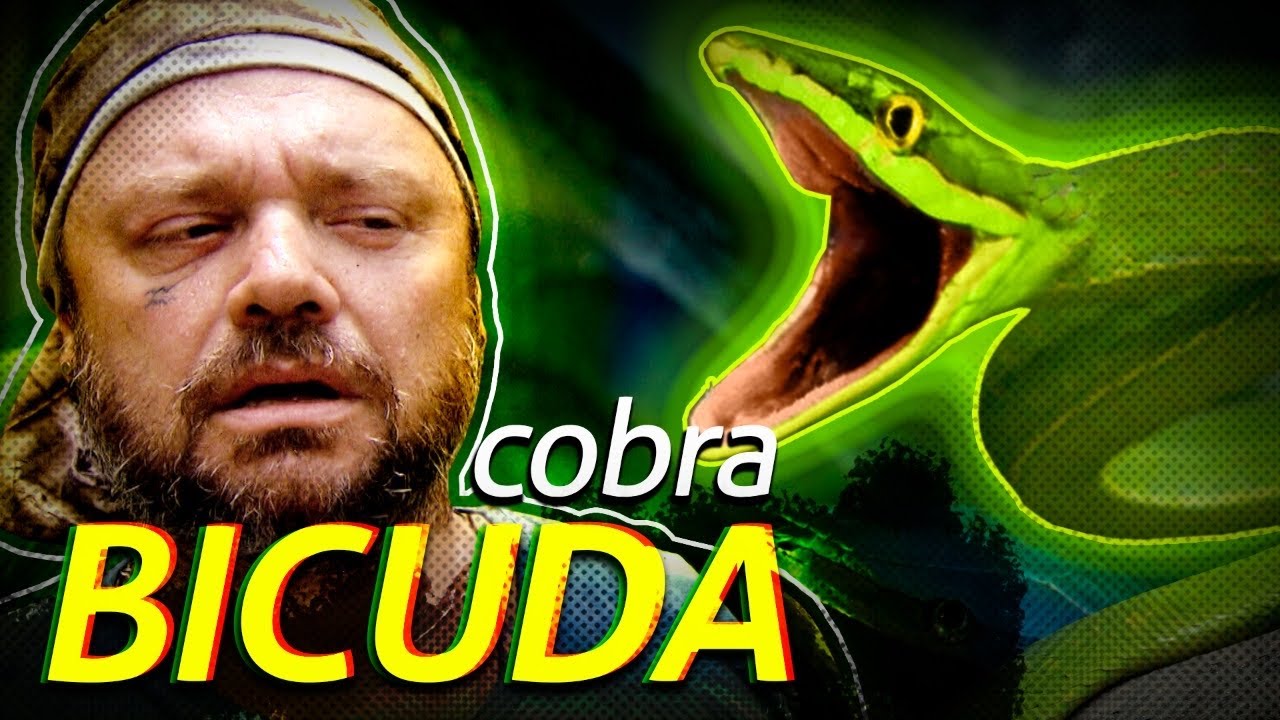 ATAQUE DE SERPENTE OPISTÓGLIFA | RICHARD RASMUSSEN - YouTube