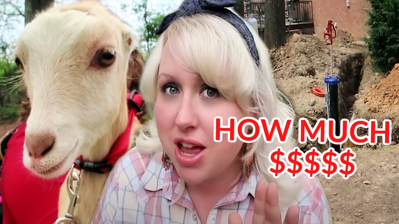 HOW MUCH MONEY DID IT COST US TO QUICKLY START A HOMESTEAD ...