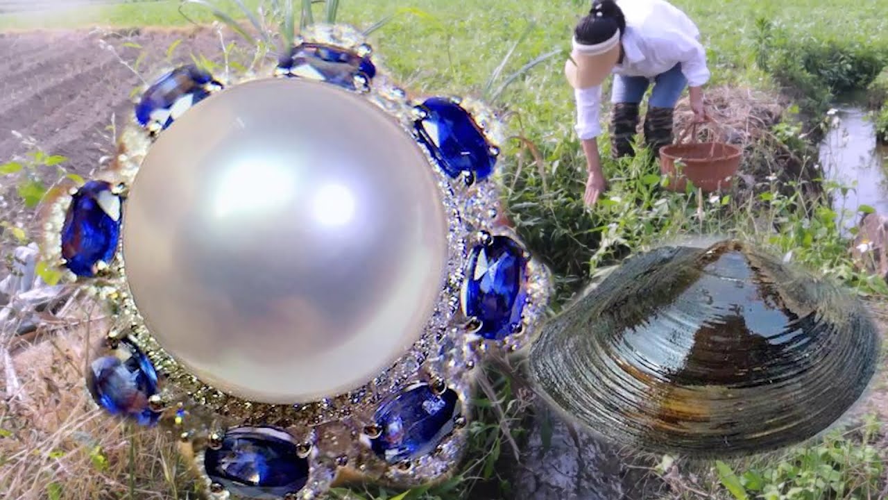 Wow, Princess Pearl, pick up the clam and use her hands to break open ...