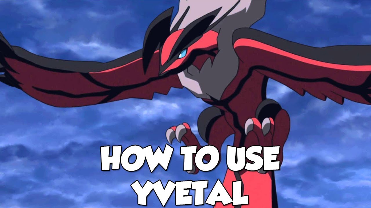 How To Use Yveltal! VGC 2019 Moveset Guide - Yveltal Strategy - YouTube