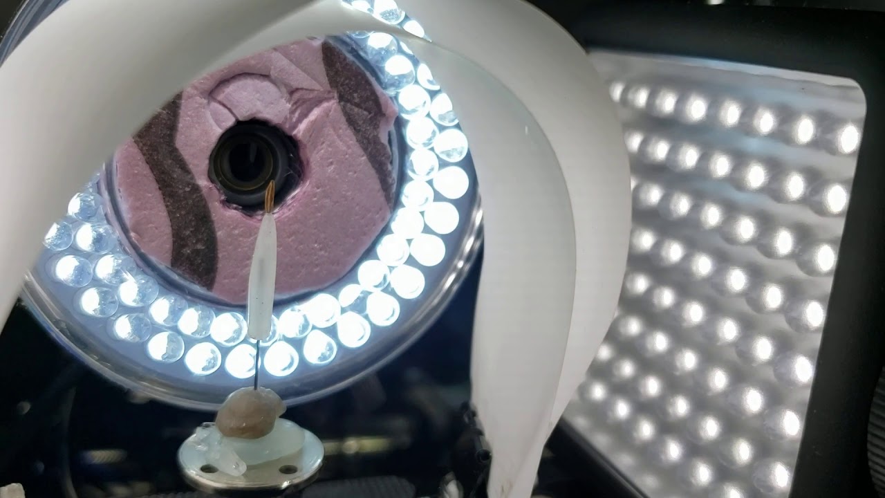 XYZ&R macro photogrammetry rig - YouTube