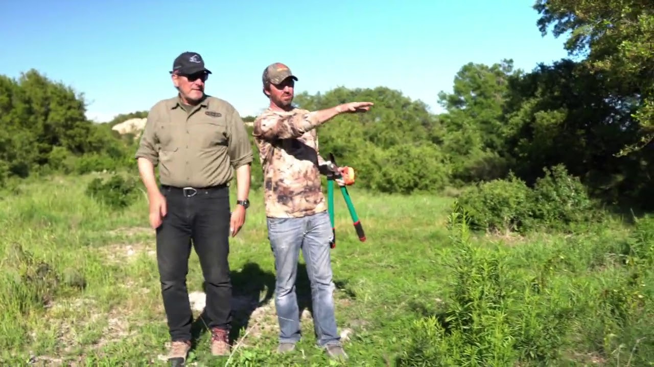 ROXOR Off Road: The Hunt Video - YouTube