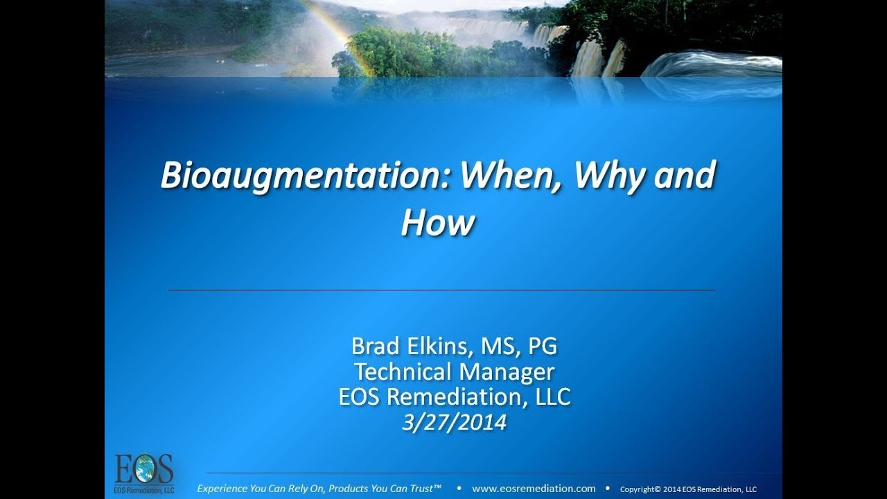 Bioaugmentation