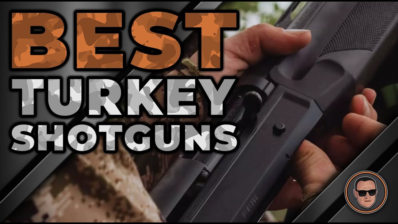 Best Turkey Shotgun