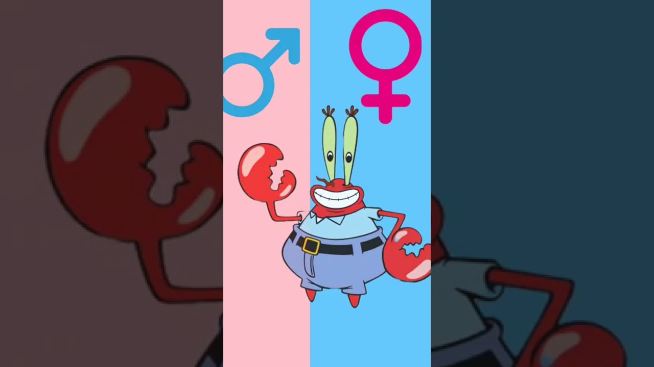 spongebob gender swap edit/🤗💕#spongebob#shorts#viral#bts#army# ...