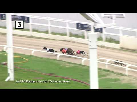 2021 EMPRESS STAKES - HEAT 5 - T3 AGINCOURT XENA
