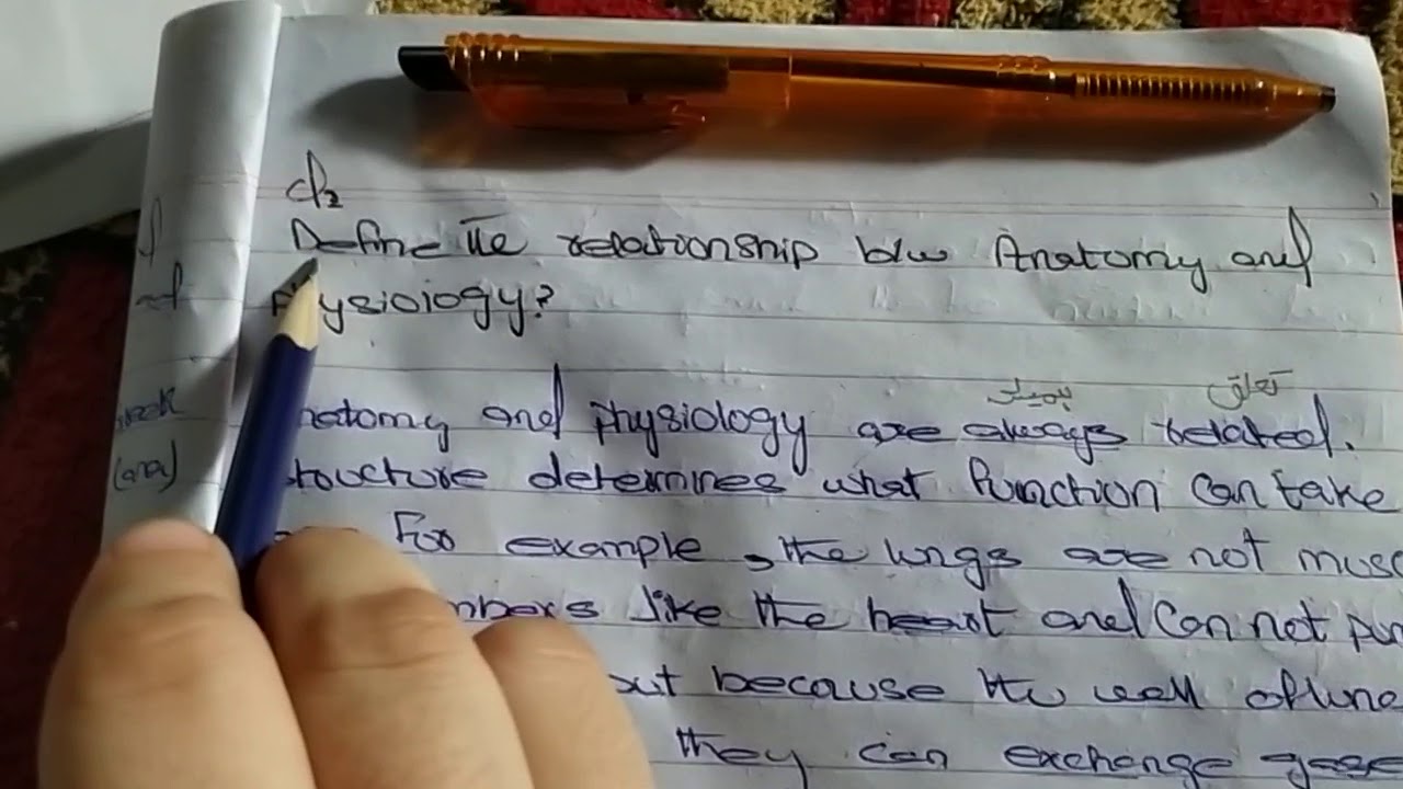 Explain Relationship Between Anatomy And Physiology YouTube Explain Relationship Between Anatomy And Physiology YouTube