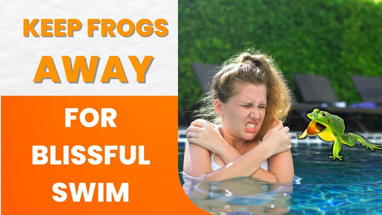 How To Get Rid Of Frogs From Pool Natural Ways Without Harming YouTube how-to-get-rid-of-frogs-from-pool-natural-ways-without-harming-youtube
