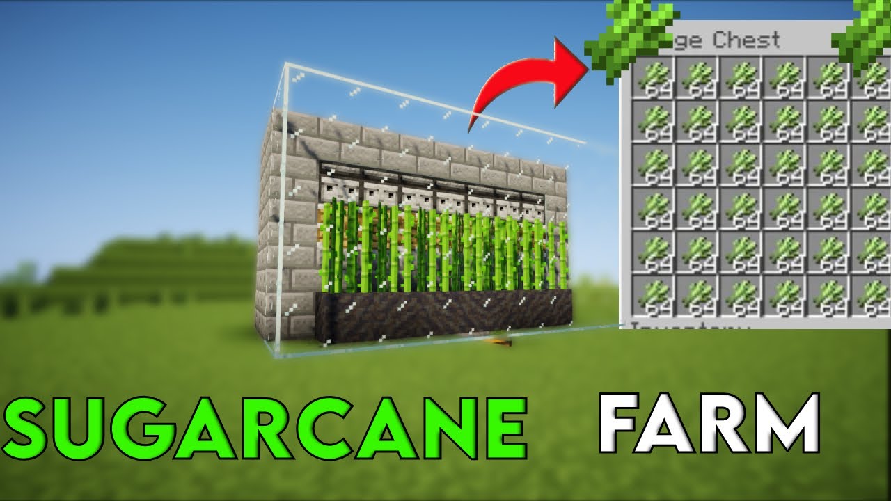 Easiest Sugarcane Farm Minecraft For (JAVA & BEDROCK) - YouTube