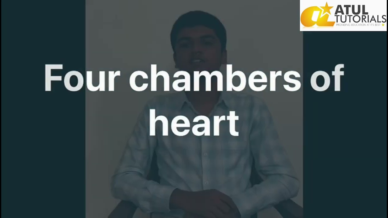 Deciphering the Heart: Unraveling the Mysteries of Cardiac Anatomy ... Deciphering the Heart: Unraveling the Mysteries of Cardiac Anatomy ...