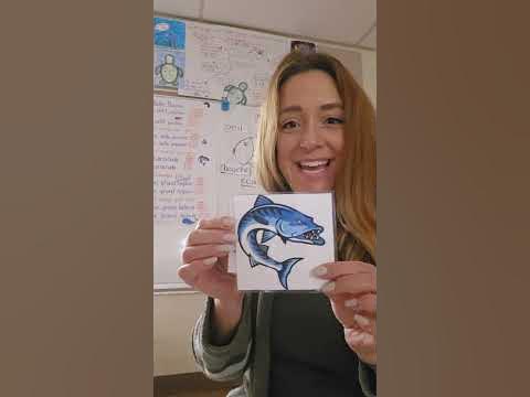 Belle Pieuvre (Petit poisson) chanson francaise / French ocean animal ...