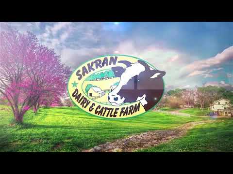 Sakran Cattle Farm 2018 - YouTube