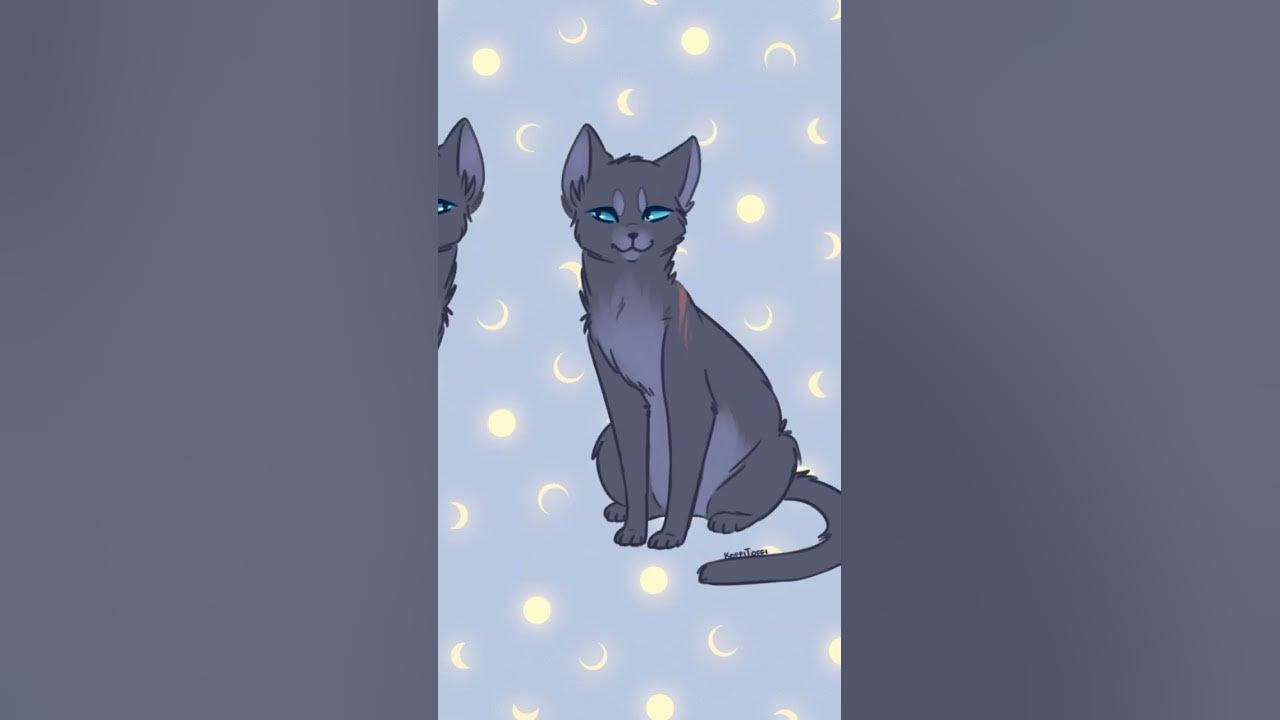 Синяя звезда 🌟| коты воители - YouTube