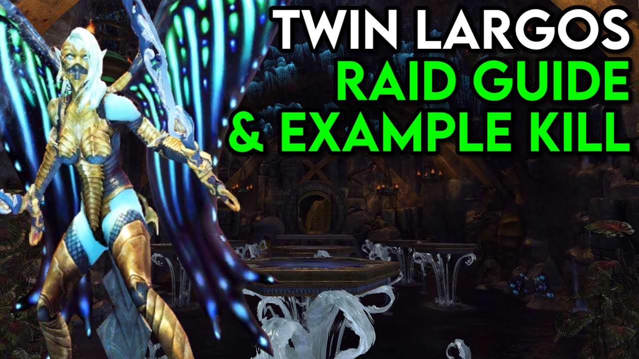 Twin Largos Full Raid Guide & Example Kill - YouTube