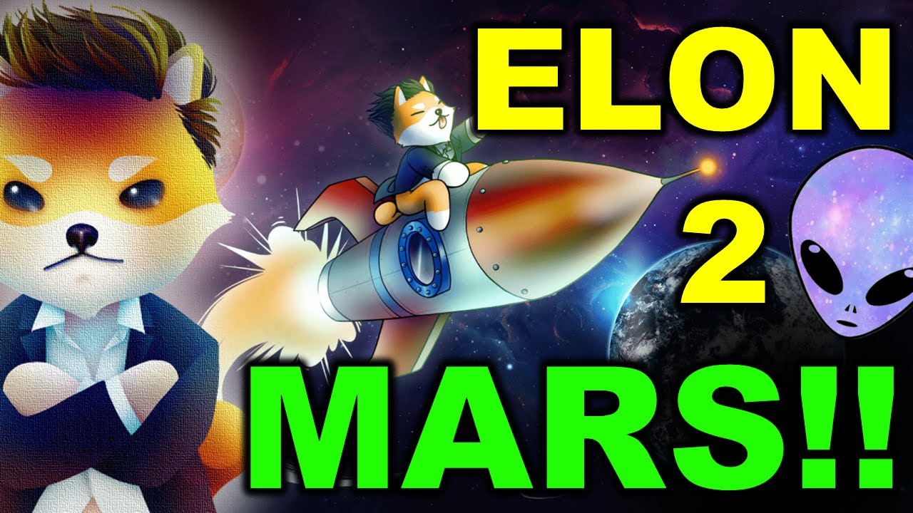 Dogelon Mars News Today🚨What These Indicators Say About The Dogelon ...