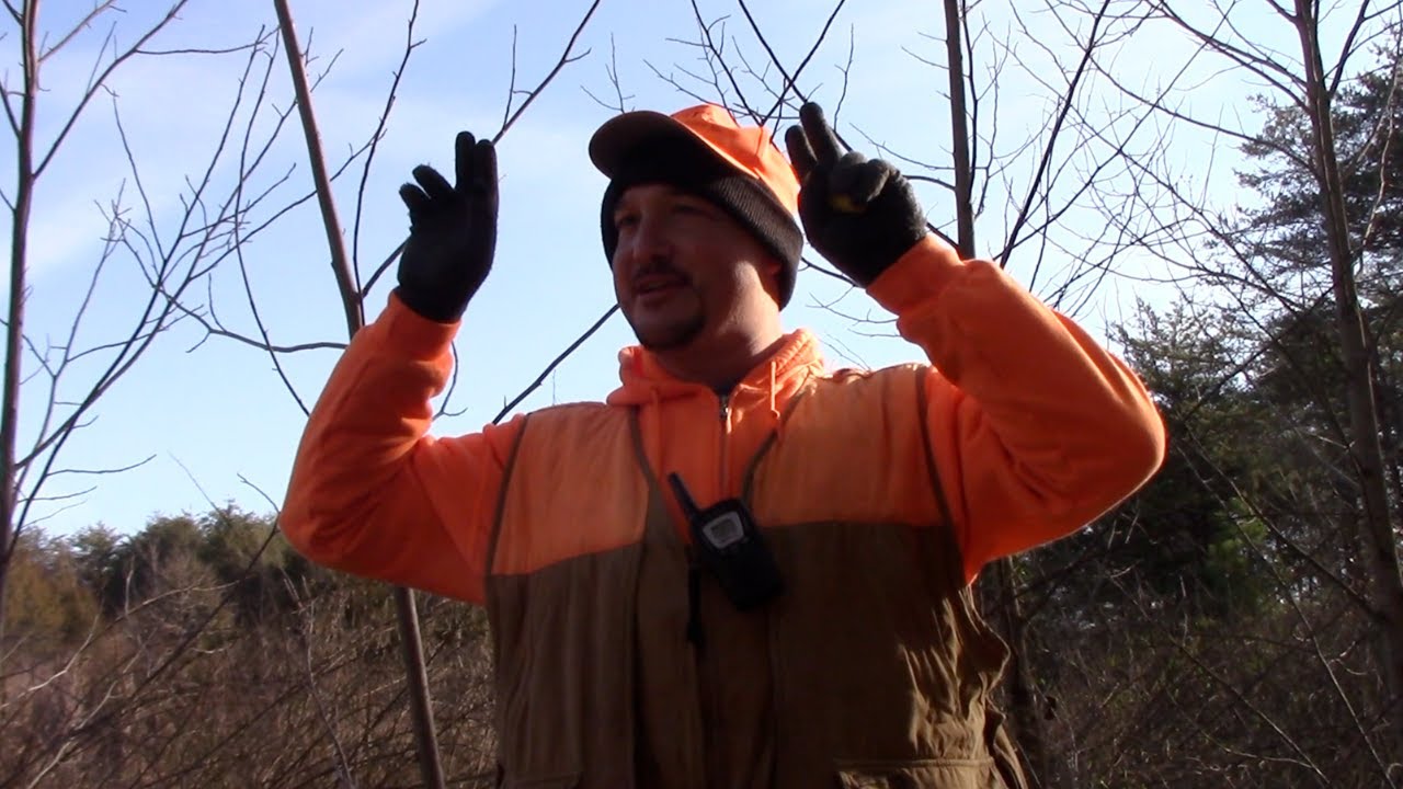 Rabbit Hunting With Beagles 2/15/20. - YouTube