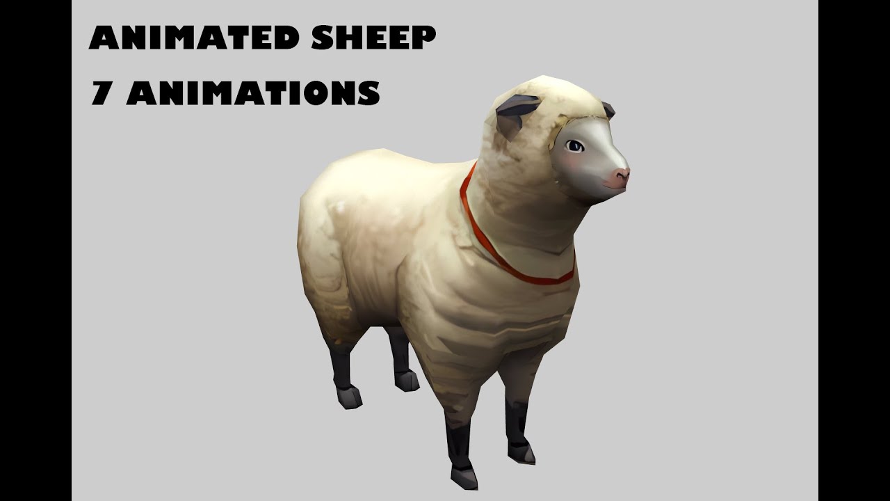 3D Sheep animations - YouTube