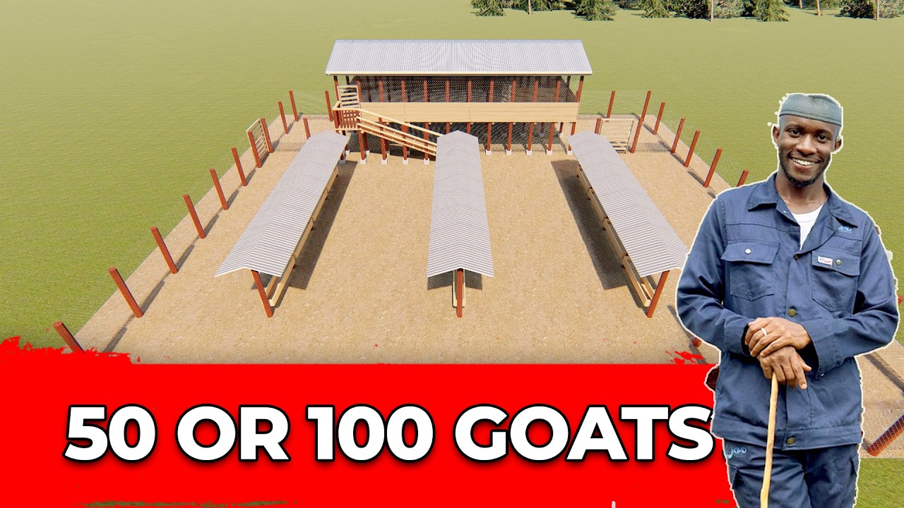 50 or 100 Goats? Build the Perfect Farm Design! - YouTube
