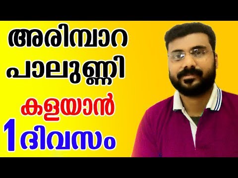 അരിമ്പാറ , പാലുണ്ണി  1 ദിവസം കൊണ്ട് മാറ്റം |How To Get Rid Of Warts NEW