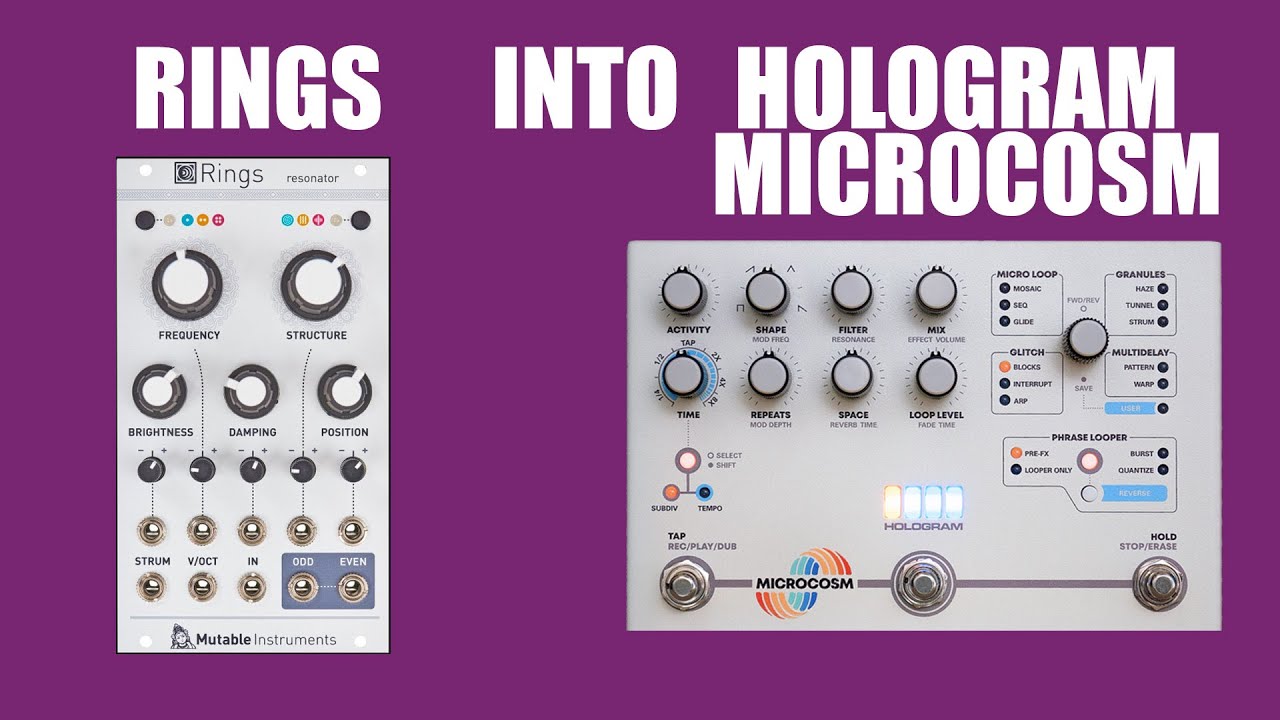 Mutable Instruments Rings into Hologram Microcosm - YouTube