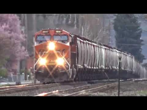 (Northbound) BNSF Loaded Grain Train passes through the Puyallup Street Railroad Crossing. - YouTube