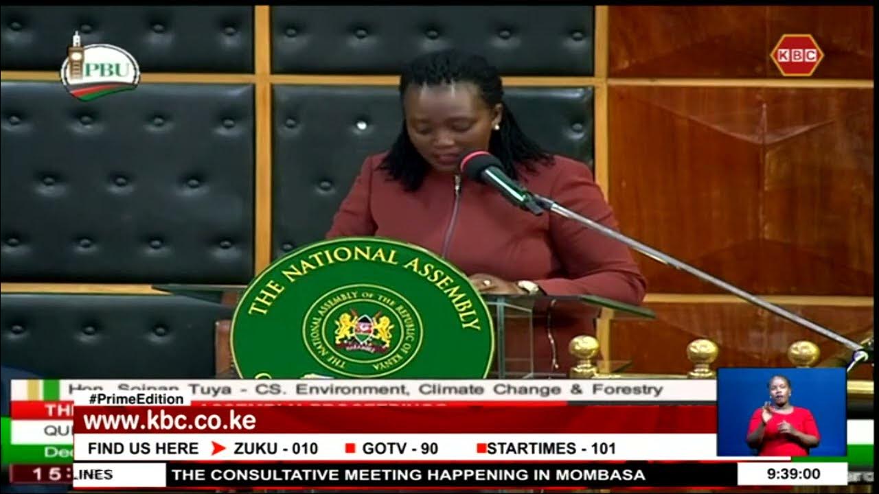 Environment CS Soipan Tuya responds to questions by MPs on Plantation establishment - YouTube