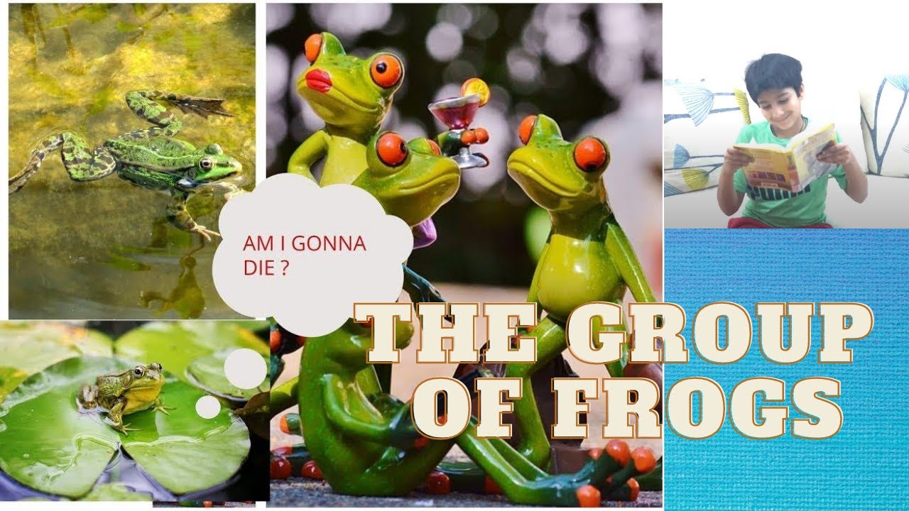 THE GROUP OF FROGS : MORAL STORY - YouTube