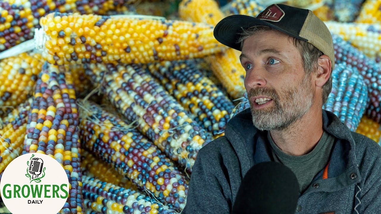 Dealing With Rodents in the Garden + Lessons in Small Scale Popcorning ...