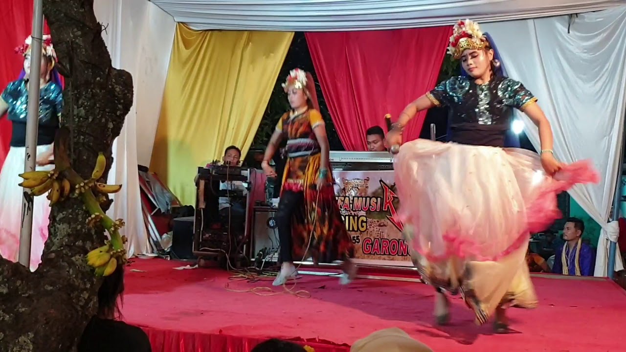 Kucing Garong |Episode 0592 - YouTube