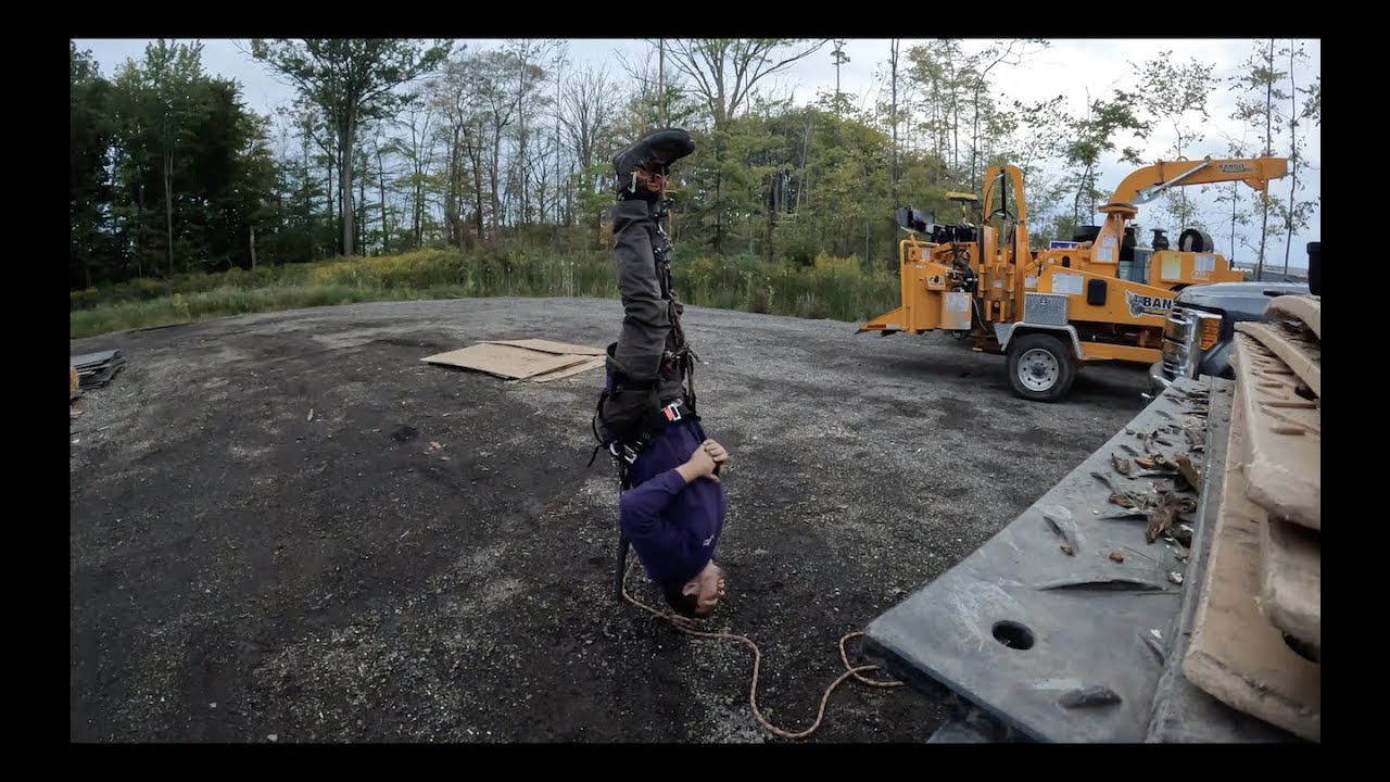 Monkey Beaver 2.WOAH - YouTube