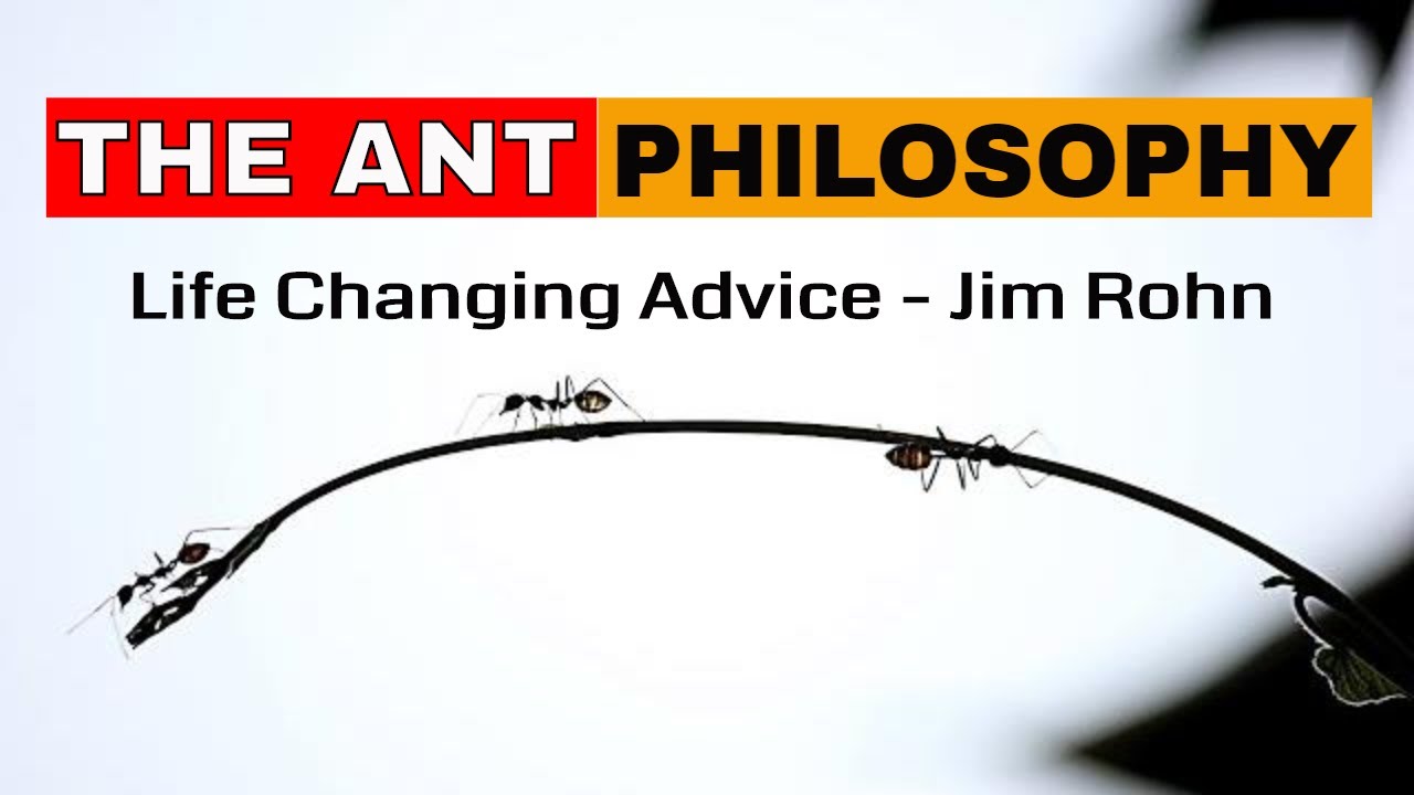 THE ANT PHILOSOPHY - Life Changing Advice by Jim Rohn - YouTube