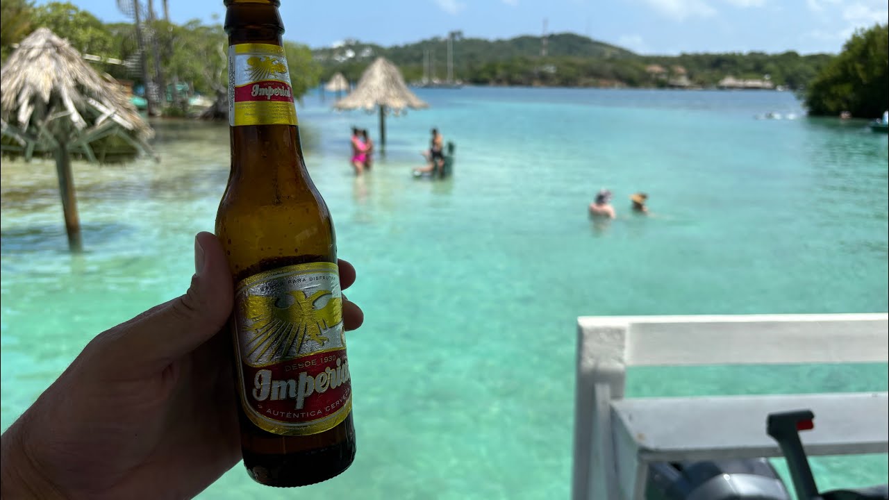 Beautiful the palm trees in Roatan Honduras, big French key - YouTube