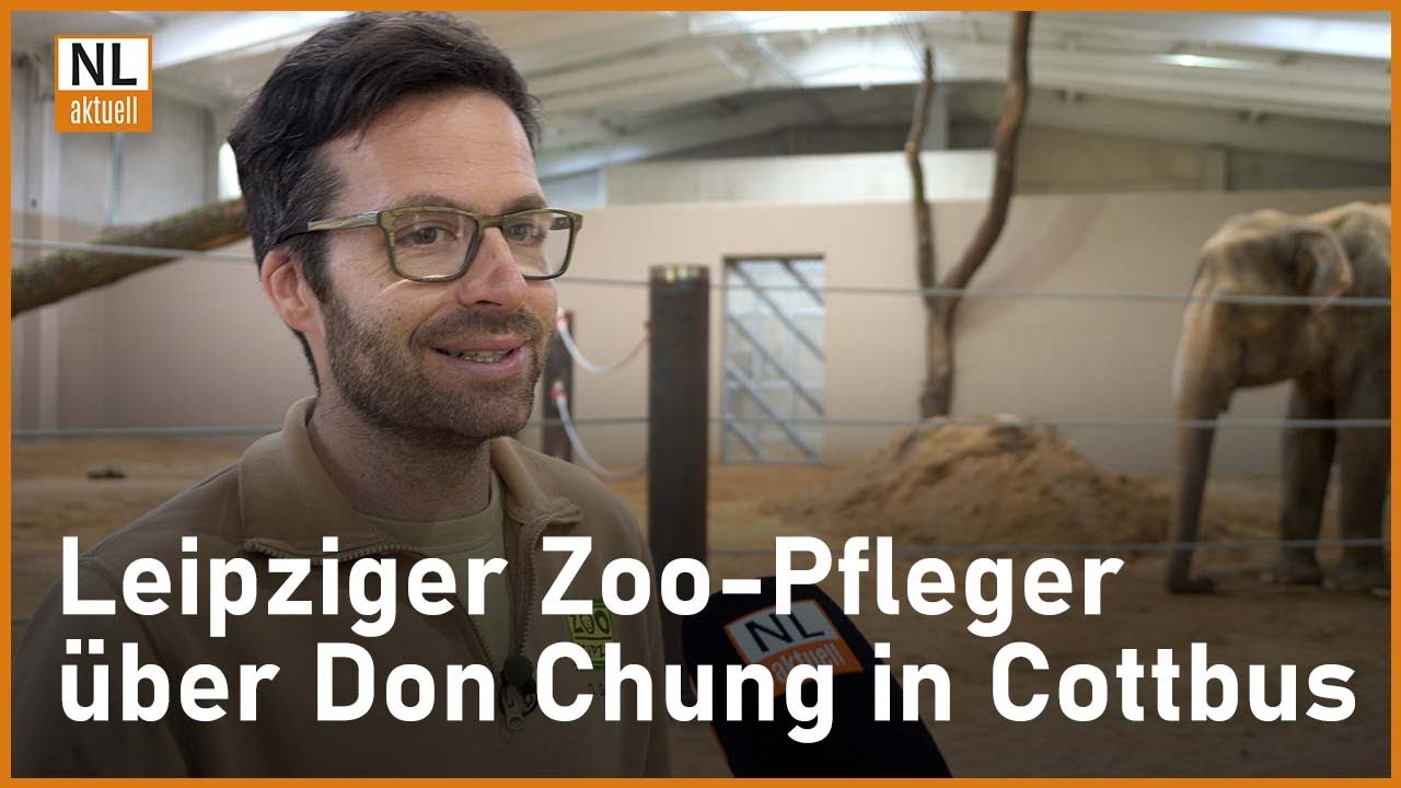 Cottbus | Leipziger Zoo-Pfleger nimmt Abschied von Elefantendame Don ...