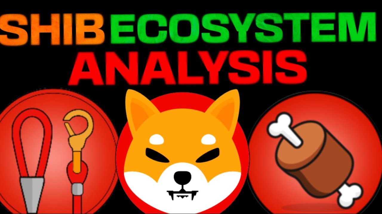 THIS POSITIVE OUTLOOK ON THE SHIBA ECOSYSTEM AFTER SHIBARIUM WILL MAKE ...