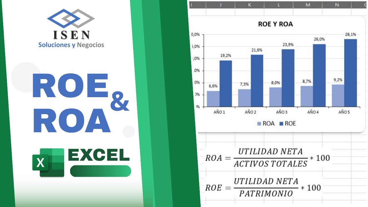 DOMINA el ROE y ROA en EXCEL: Evalúa la RENTABILIDAD de tu EMPRESA ...
