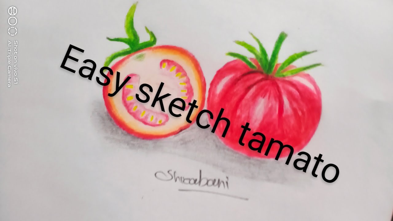 how to draw a draw tamato 🍅 Easy sketch 😱#sketch #tamatoa #viral #video ...