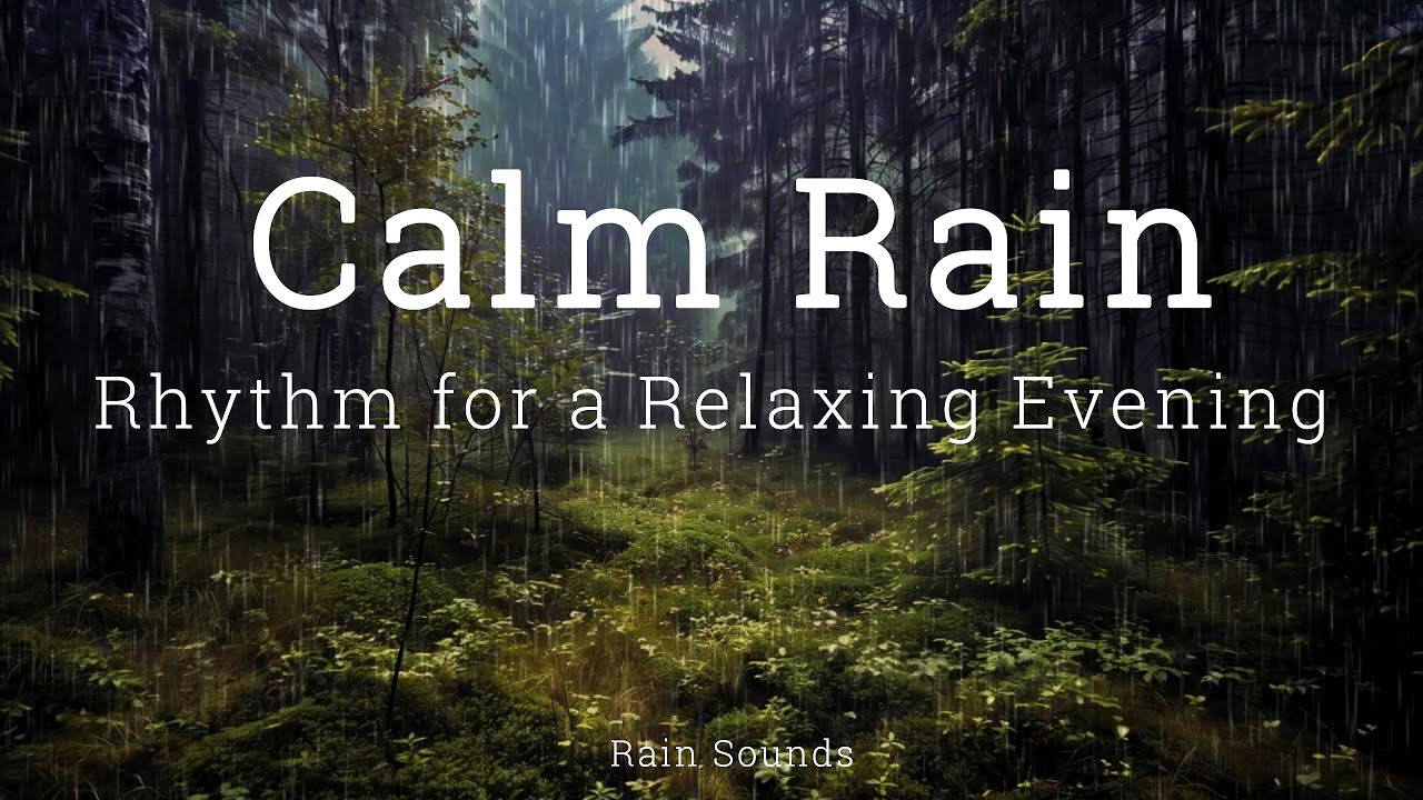Calm Rain Rhythm for a Relaxing Evening | Soothing Rain Sound - YouTube