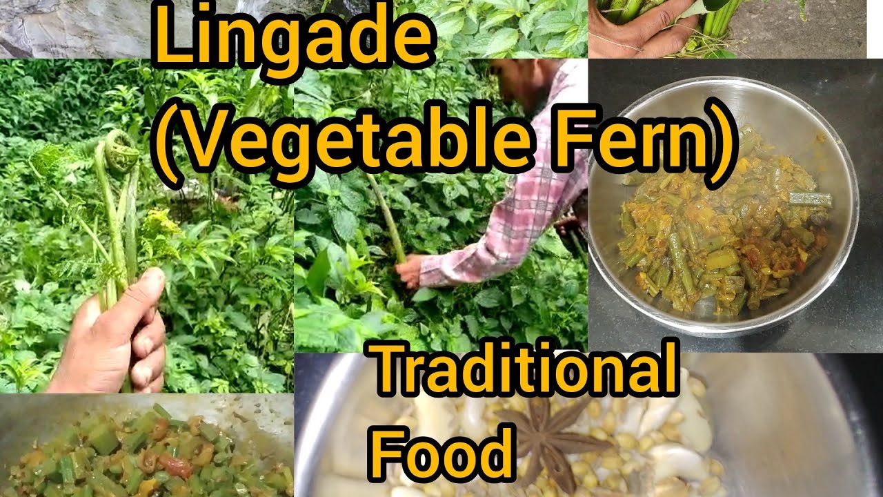 Pure organic traditional wild edible vegetable from Garhwal Himalaya ...