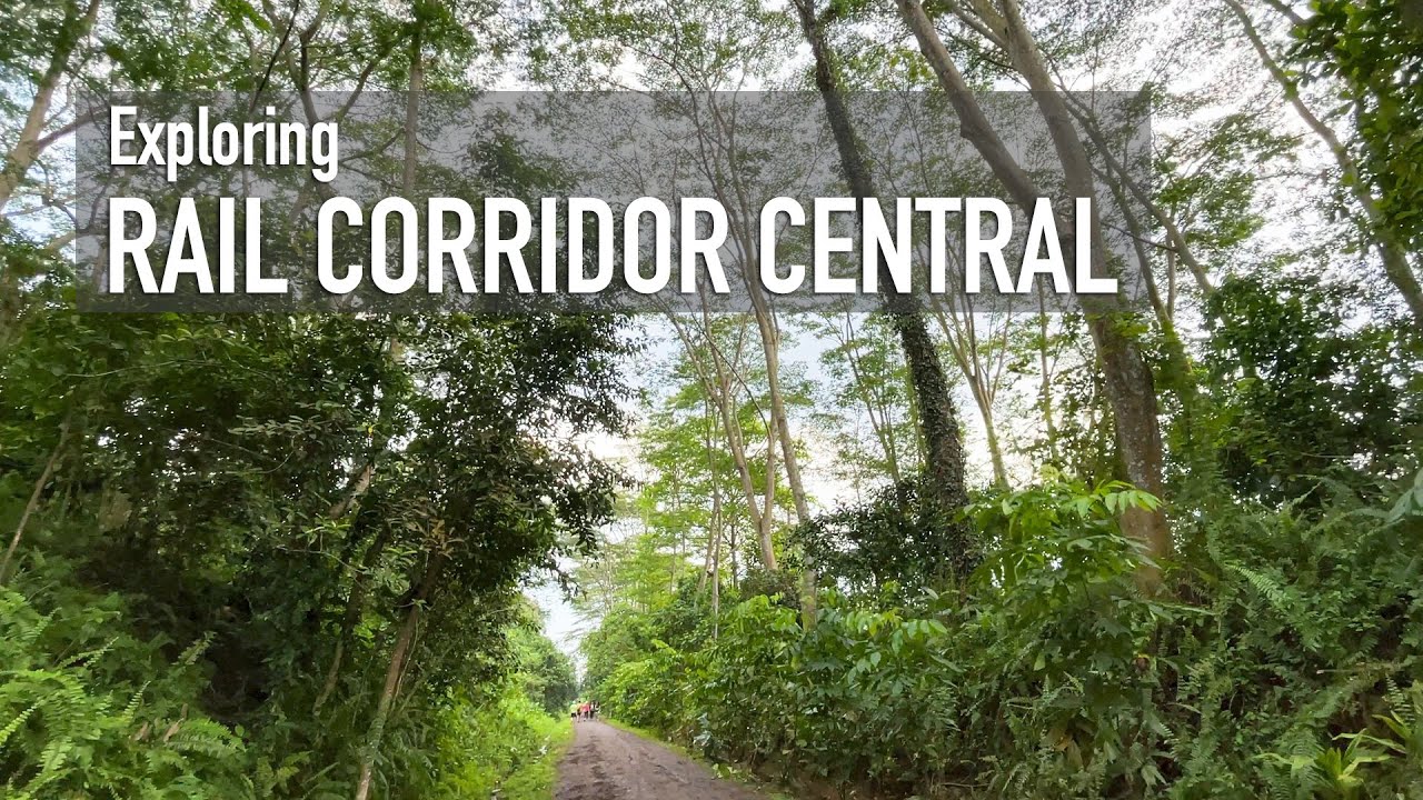 Exploring Rail Corridor Central [4K] - YouTube