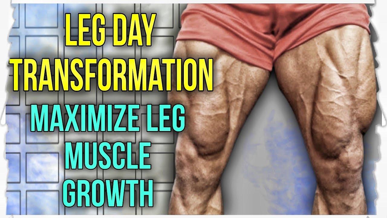 Leg Day Transformation: How to Maximize Leg Muscle Growth #gym - YouTube