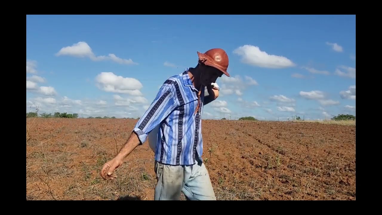 PLANTANDO CAPIM BUFFEL - YouTube
