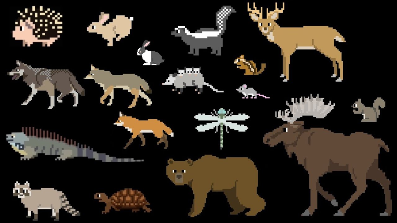North American Forest Mammals 2.0 - @TheKidsPictureShow - YouTube
